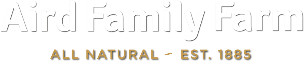 Dorper Sheep | Aird Family Farm